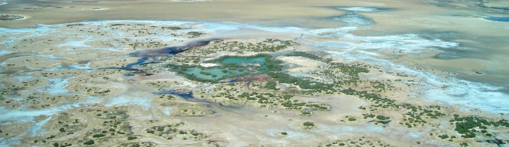 The inland Lake MacLeod Wetland System - Gnaraloo Wilderness Foundation