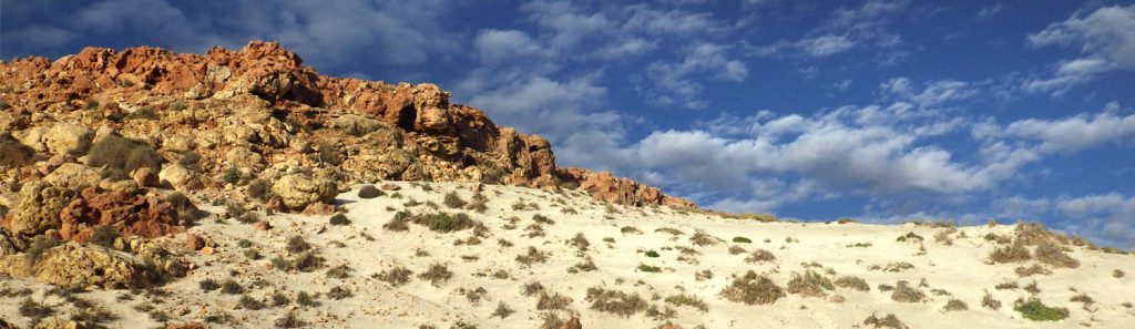 Stygofauna and Troglofauna - Gnaraloo Wilderness Foundation